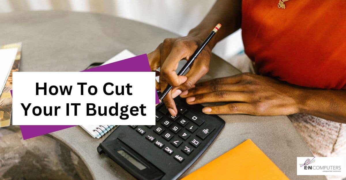 How to Cut Your Small Business IT Budget - E-N Computers